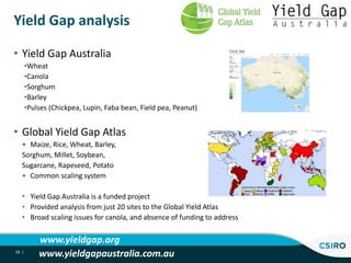 Identifying and closing global yield gaps in canola. A view from ...