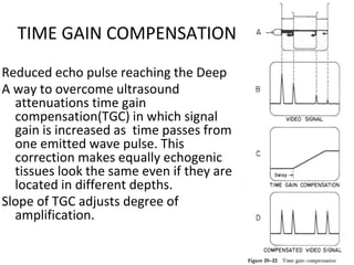 Usg physics | PPTX