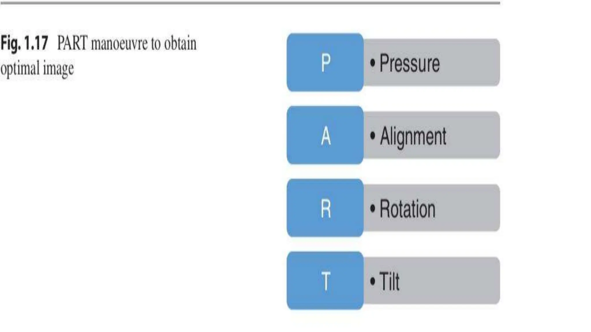 Usg physics for a non radiologist an overview | PPTX