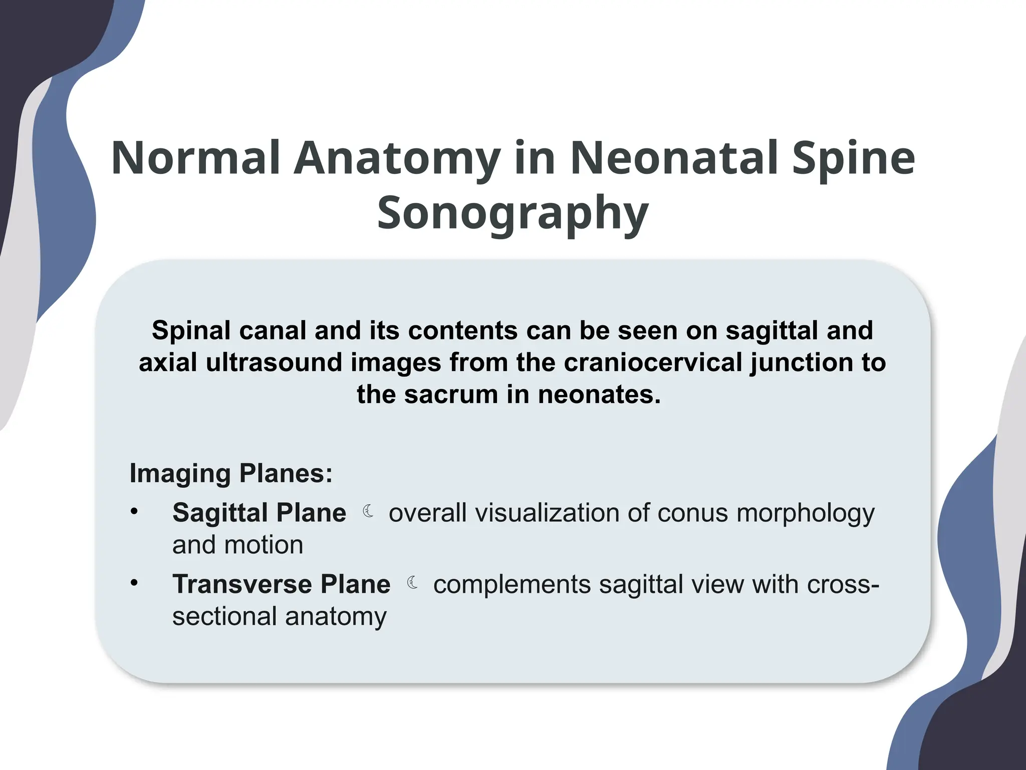 USG Neonatal Spine and Anatomy Variants.pptx