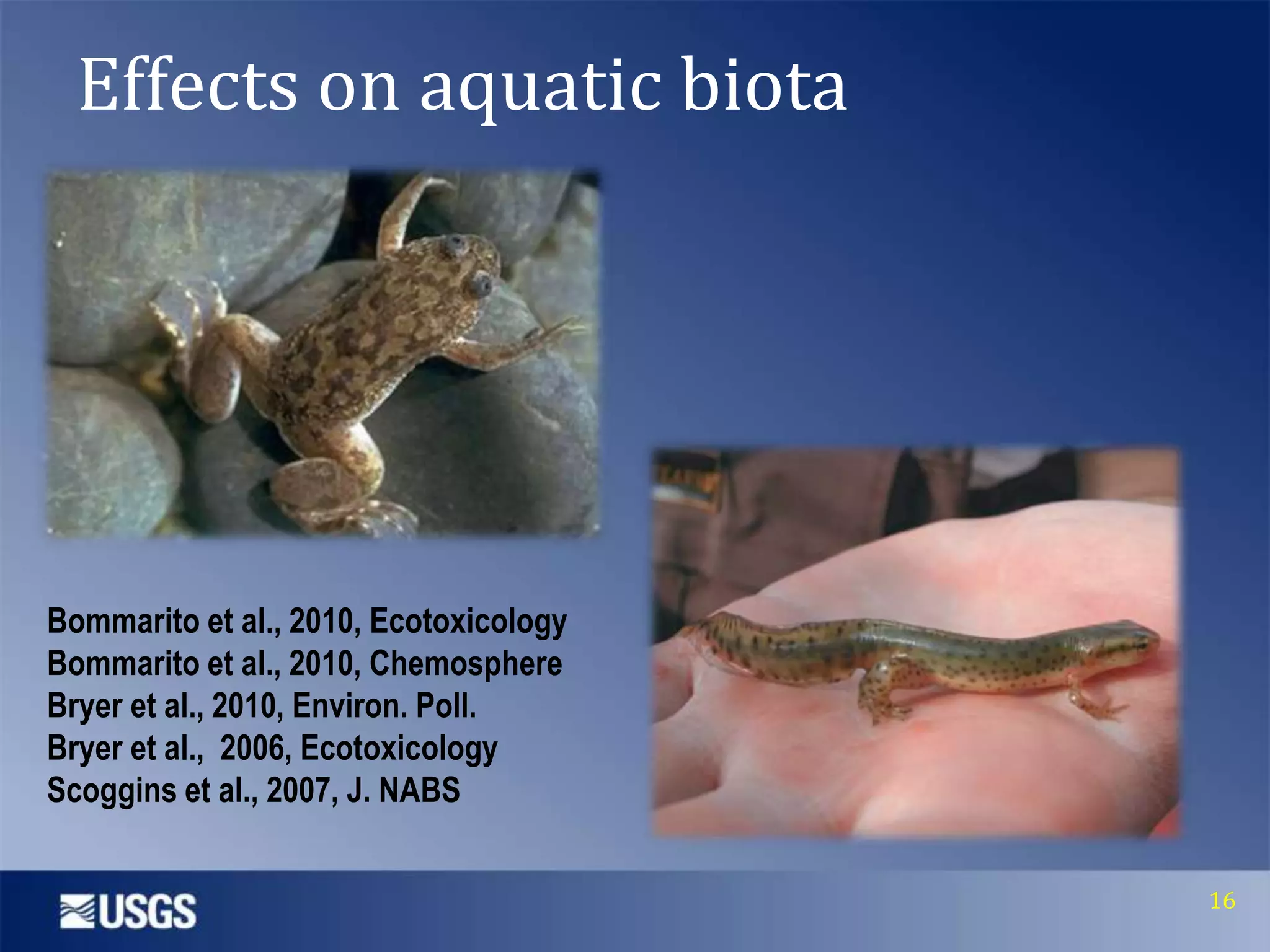 Coal Tar Based Pavement Sealcoat: Health and Environmental Overview | PPTX