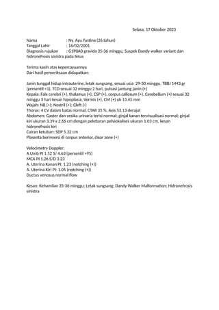 usg template untuk menjelaskan isi usg.docx