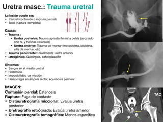 USG testículo - Negrete Gómez Martha Paulina.pdf