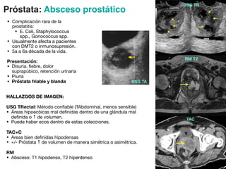 USG testículo - Negrete Gómez Martha Paulina.pdf