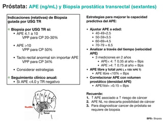 USG testículo - Negrete Gómez Martha Paulina.pdf