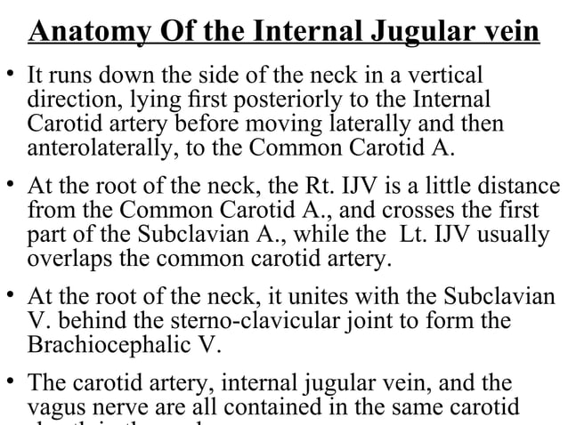 Us guided central venous cannulation | PPT | Ear, Nose and Throat ...