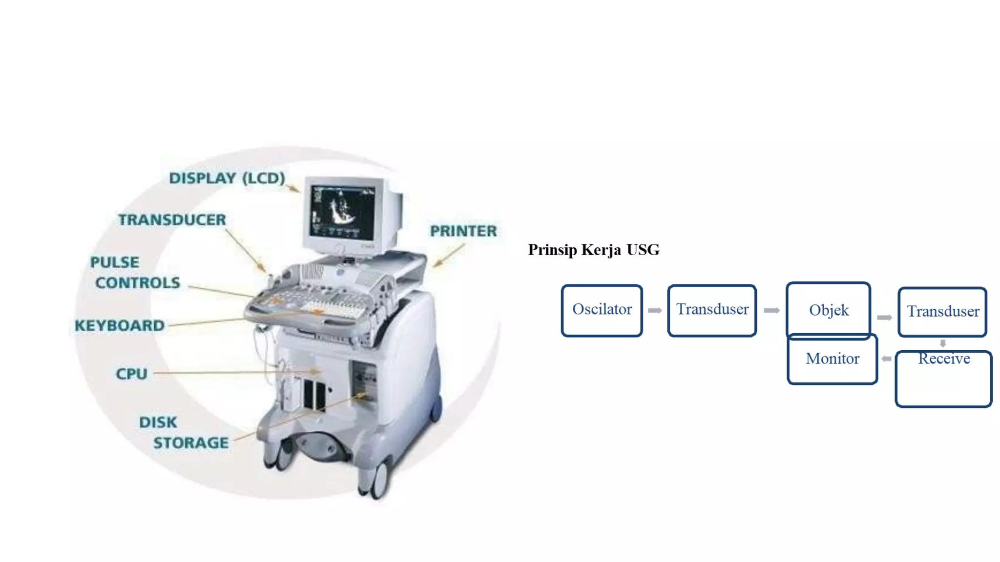 USG (Ultrasonografi).pptx