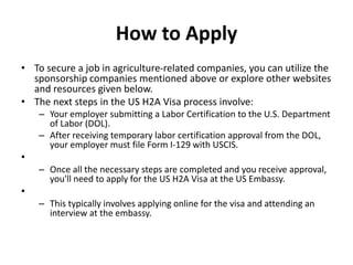 US H2A Work Visa Opportunity in USA 2024.pptx