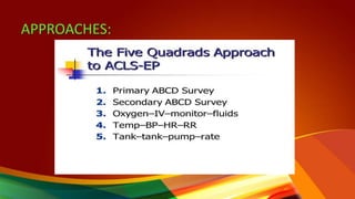 CARDIAC LIFE SUPPORT ACLS | PPTX