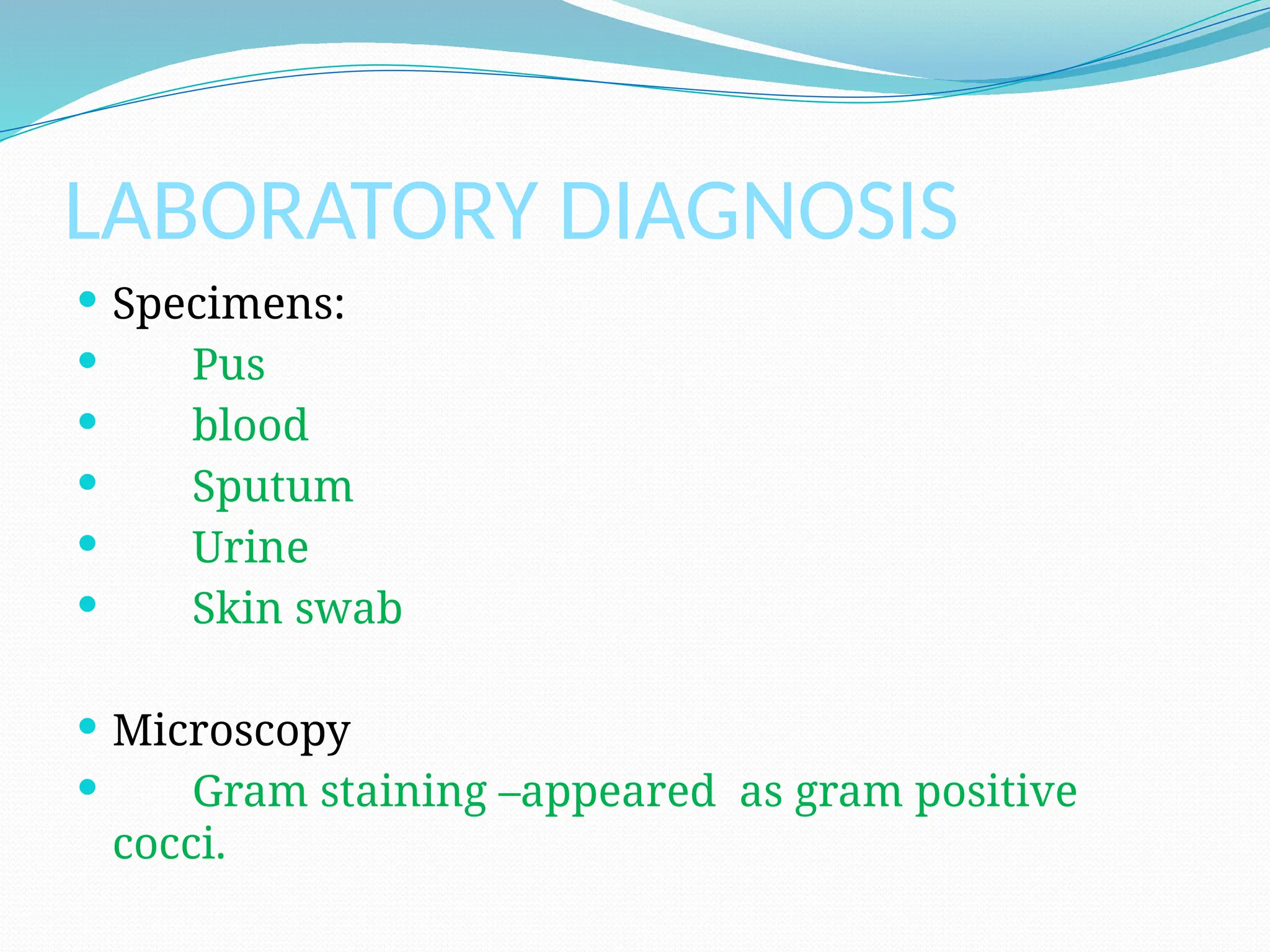 STAPHYLOCOCCUS,Introduction, history, morphology | PPT