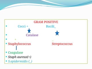 STAPHYLOCOCCUS,Introduction, history, morphology | PPT