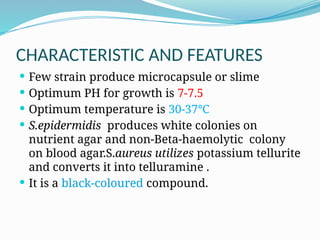 STAPHYLOCOCCUS,Introduction, history, morphology | PPT
