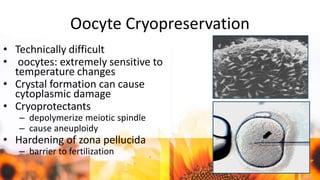 FERTILITY PRESERVATION TECHNIQUES | PPTX