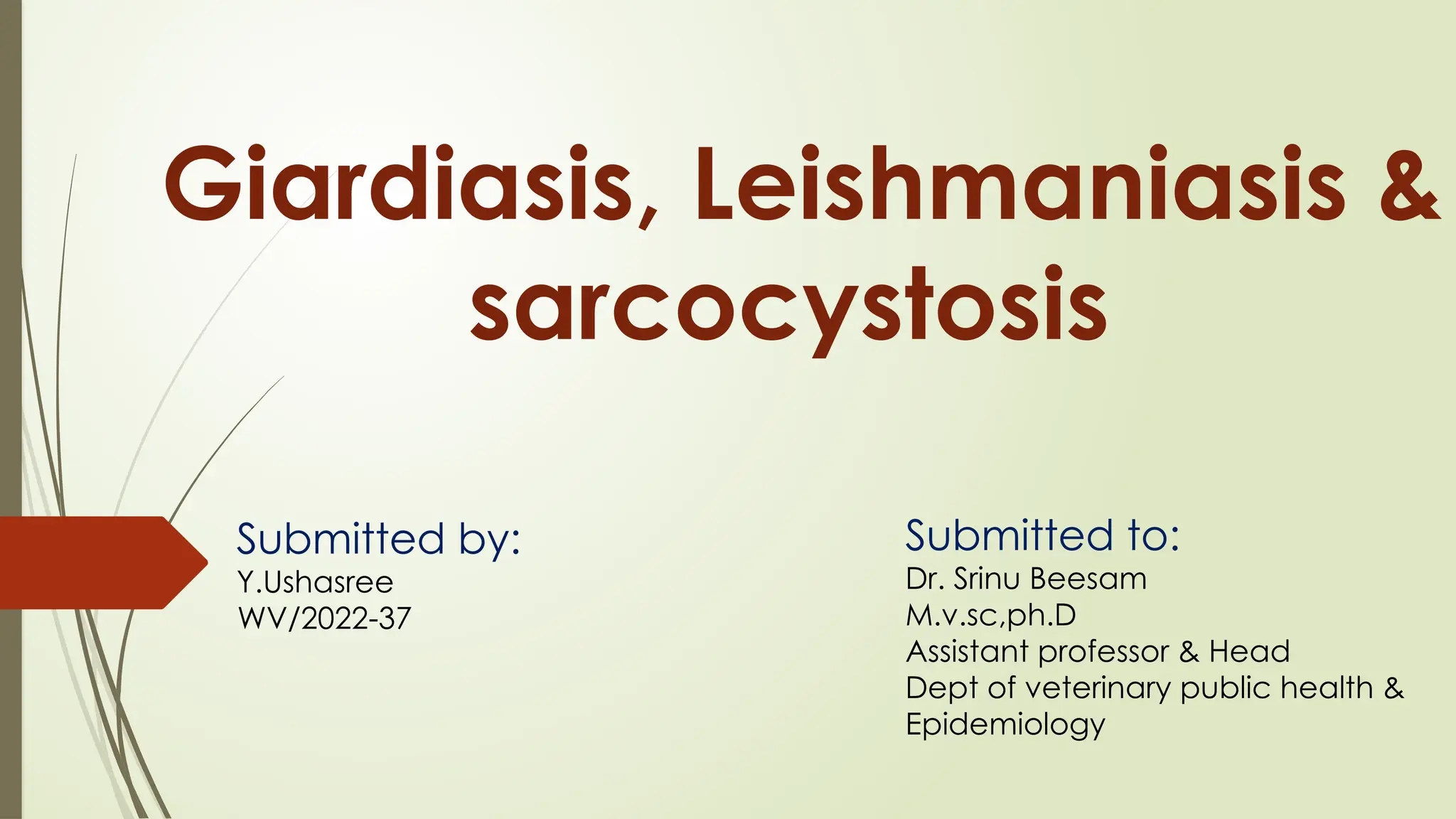 Giardiasis, Leishmaniasis, sarcocystosis | PPTX