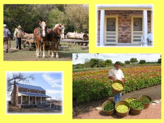 Us history survey.040312 | PPT