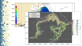 Hydrographic Survey Validation and Chart Adequacy Assessment Using ...