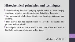 HISTO CHEMICAL AND IMMUNOHISTOCHEMICAL DIAGNOSIS OF RENAL DISEASE.pptx