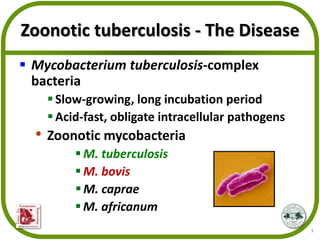 Using a One Health Approach to Control Zoonotic Diseases: Tuberculosis ...