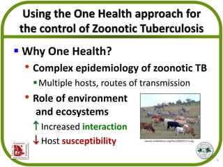 Using a One Health Approach to Control Zoonotic Diseases: Tuberculosis ...