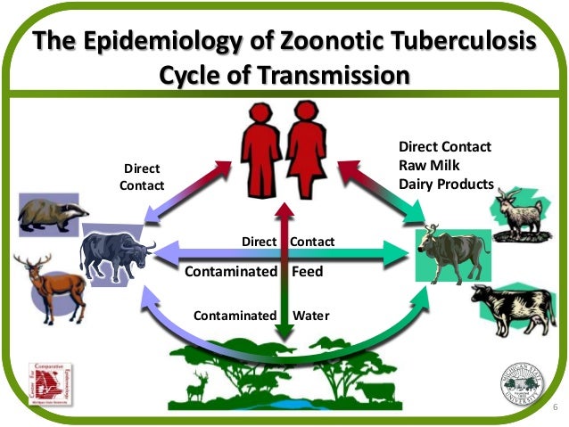 Using a One Health Approach to Control Zoonotic Diseases: Tuberculosi…