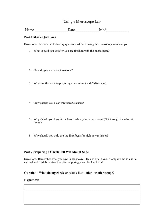 Microscope Lab | DOC