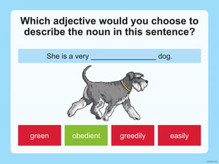 using-adjectives-to-describe-a-noun-powerpoint-game-english.ppt