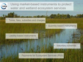 Using Market-Based Instruments and Issues in Identifying, Designing and ...