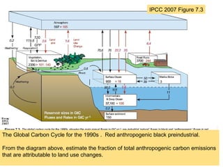 Global Carbon Cycle Ipcc