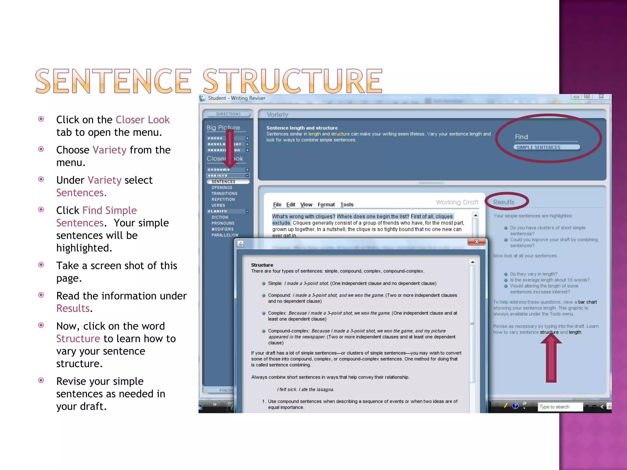 Using the SAS Revisor | PPT