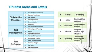 Using the test process improvement models. Case study based on TPI Next ...
