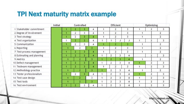 Using the test process improvement models. Case study based on TPI Next ...