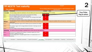 Using the test process improvement models. Case study based on TPI Next ...