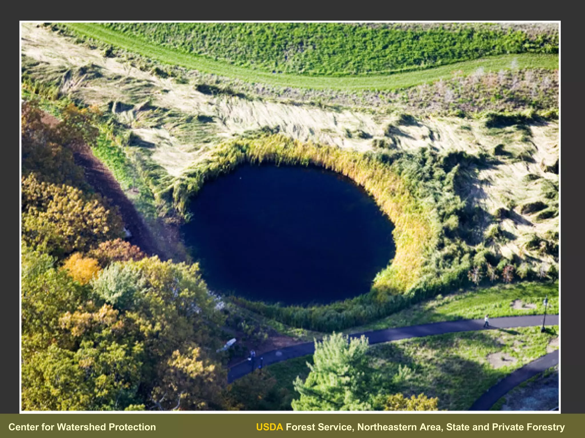 Using Trees To Reduce Stormwater Runoff | PPT