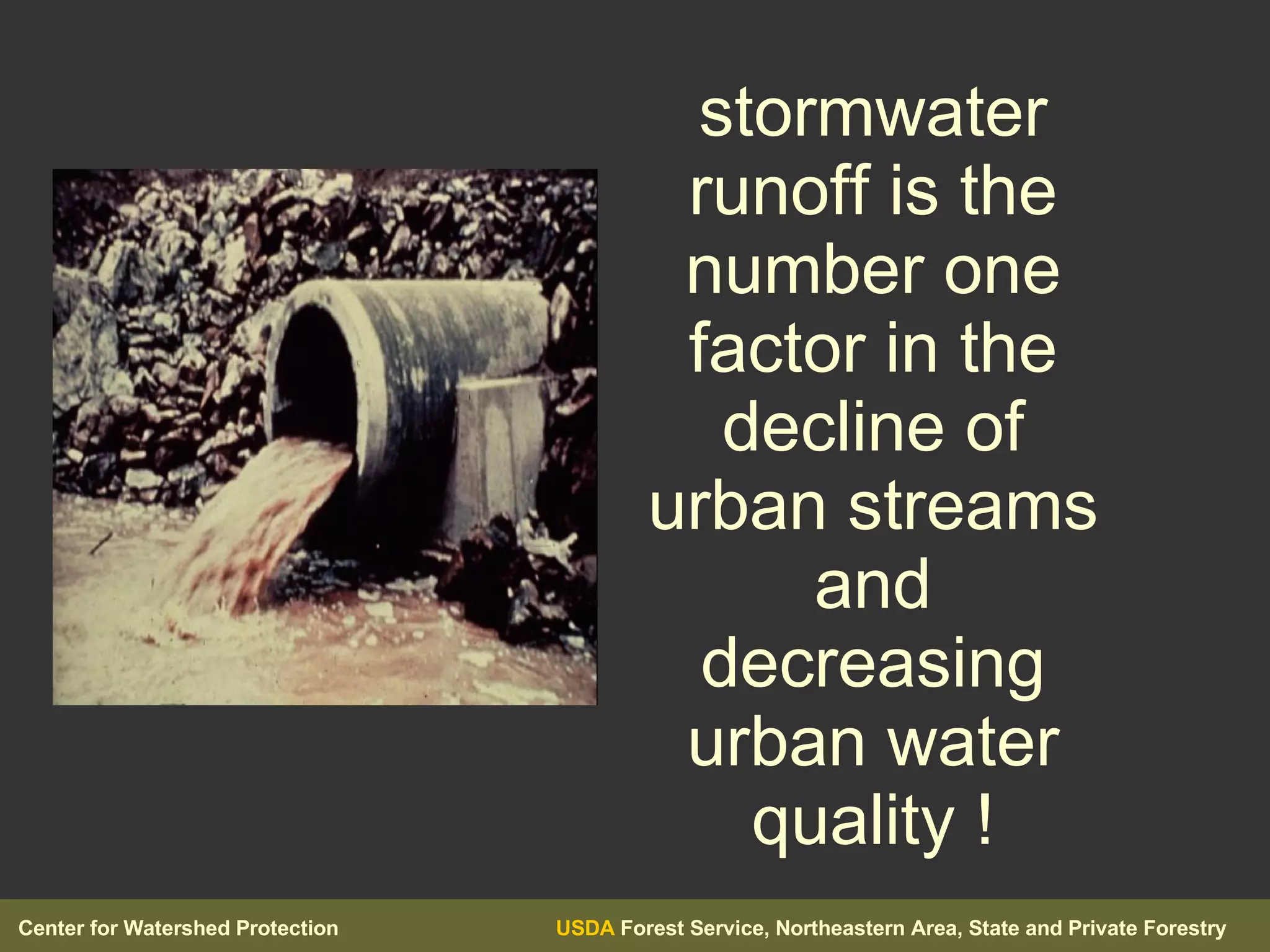 Using Trees To Reduce Stormwater Runoff | PPT