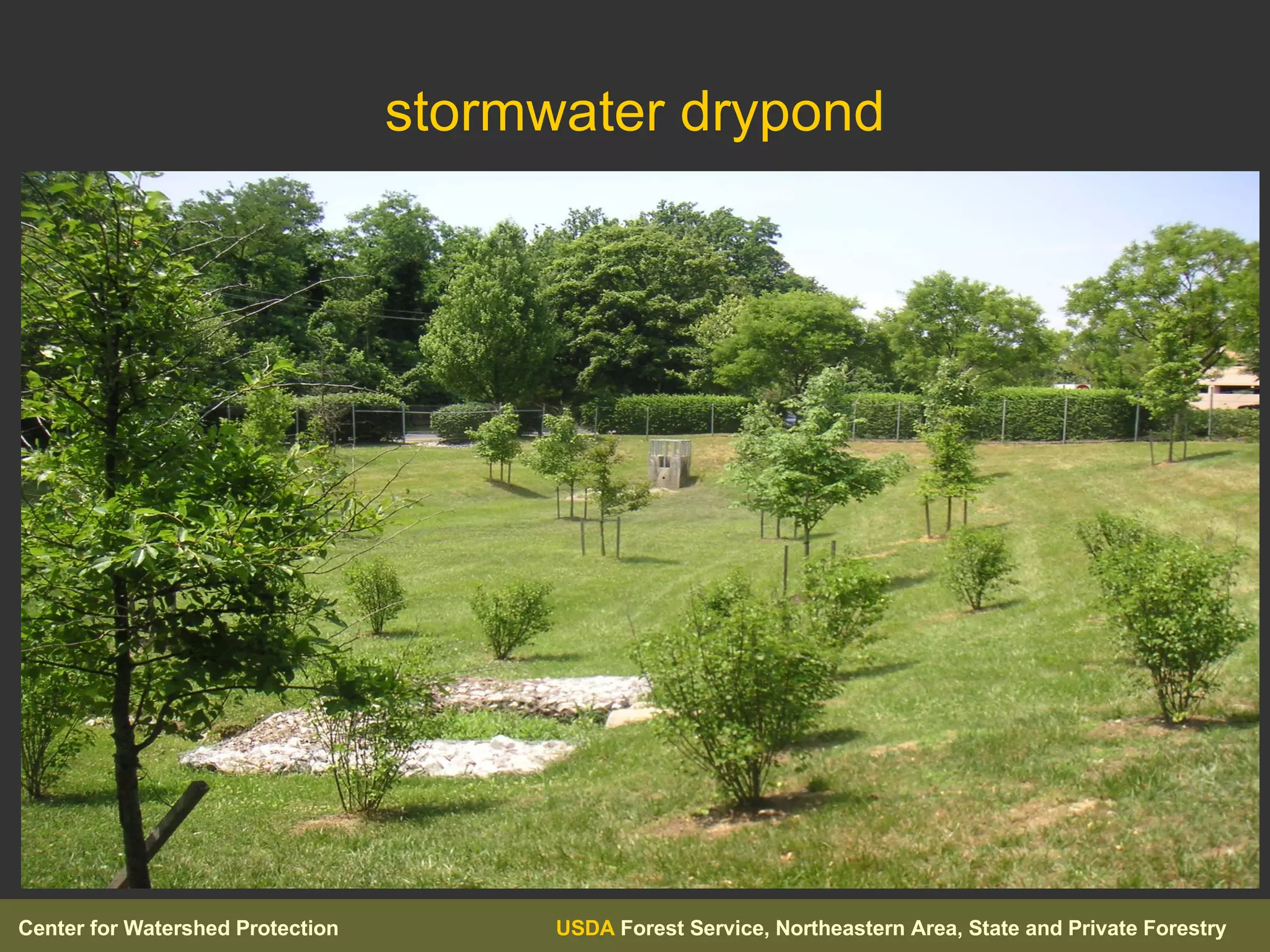 Using Trees To Reduce Stormwater Runoff | PPT