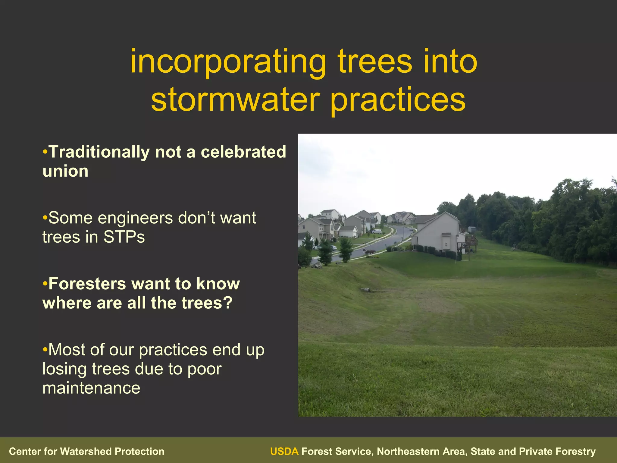 Using Trees To Reduce Stormwater Runoff | PPT