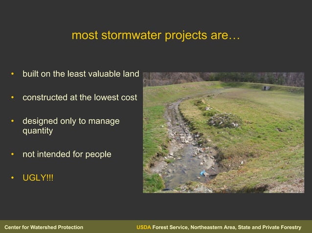 Using Trees To Reduce Stormwater Runoff | PPT