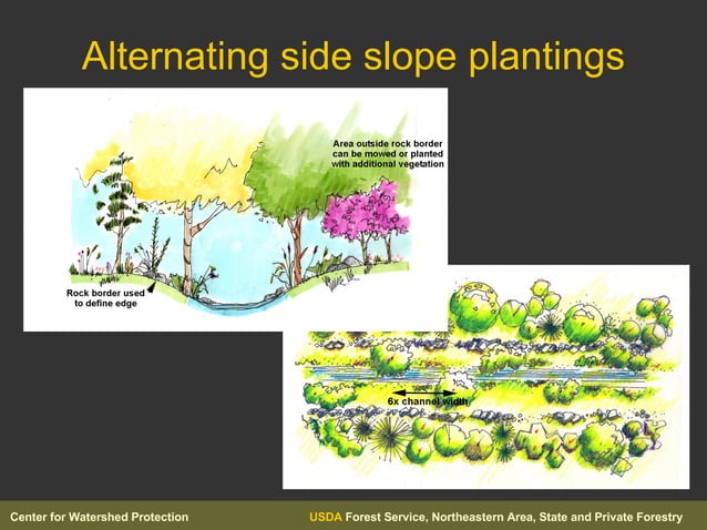 Using Trees To Reduce Stormwater Runoff | PPT