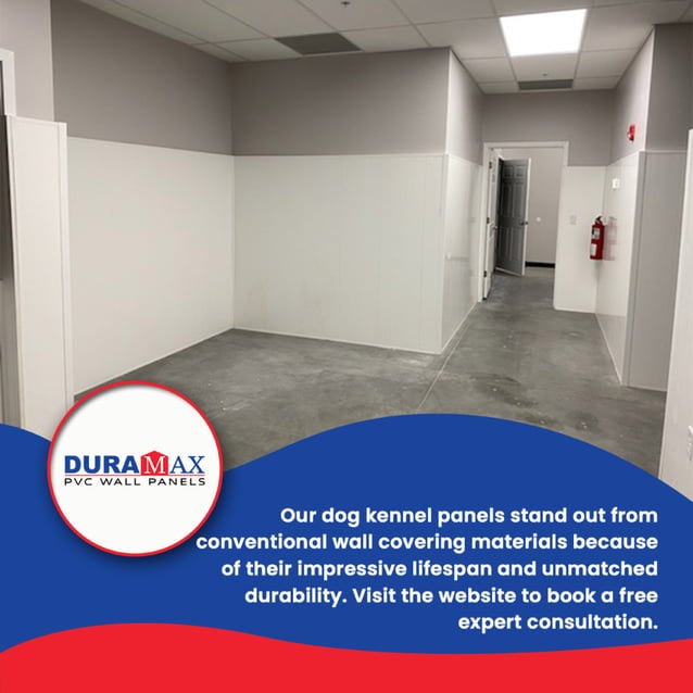 Using-Wall-Covering-for-Dog-Kennels-to-Keep-Your-Furry-Companions-Free ...