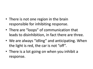 ADHD as a model for understanding neural network dynamics | PPTX
