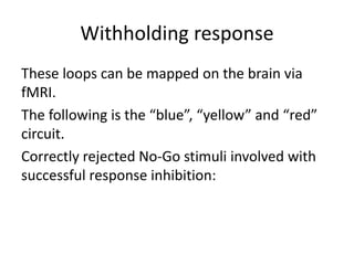ADHD as a model for understanding neural network dynamics | PPTX