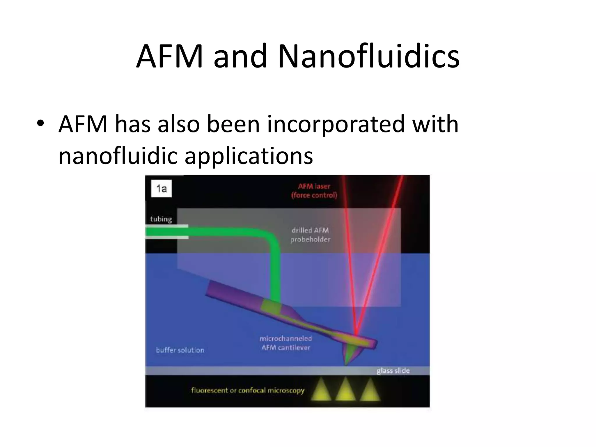 Protein-DNA Mapping using an AFM | PPT