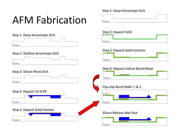 Protein-DNA Mapping using an AFM | PPT
