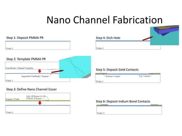 Protein-DNA Mapping using an AFM | PPT