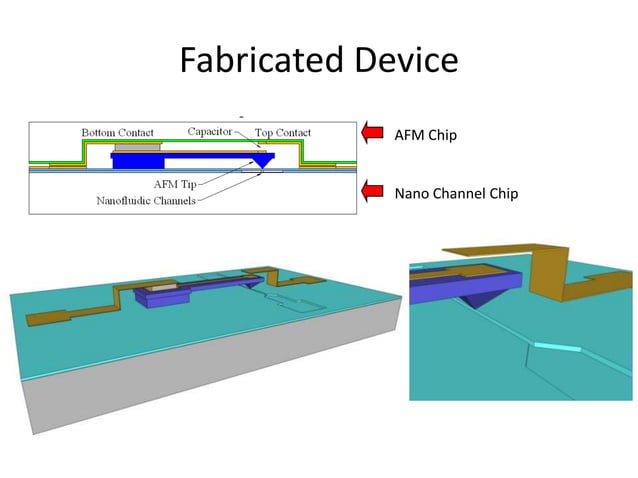 Protein-DNA Mapping using an AFM | PPT