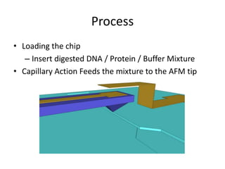 Protein-DNA Mapping using an AFM | PPT