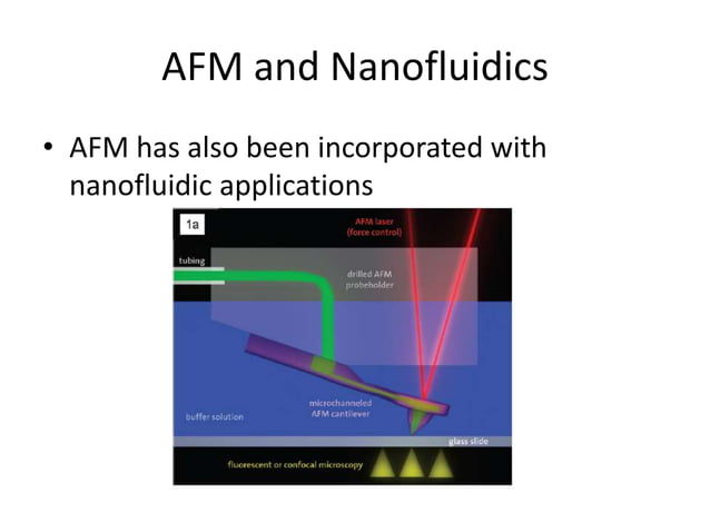 Protein-DNA Mapping using an AFM | PPT