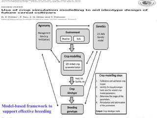 Using agroecosystem modelling to design climate smart agriculture | PDF
