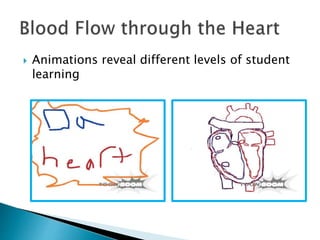 Using animation to bring biology to life | PPTX