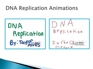 Using animation to bring biology to life | PPTX